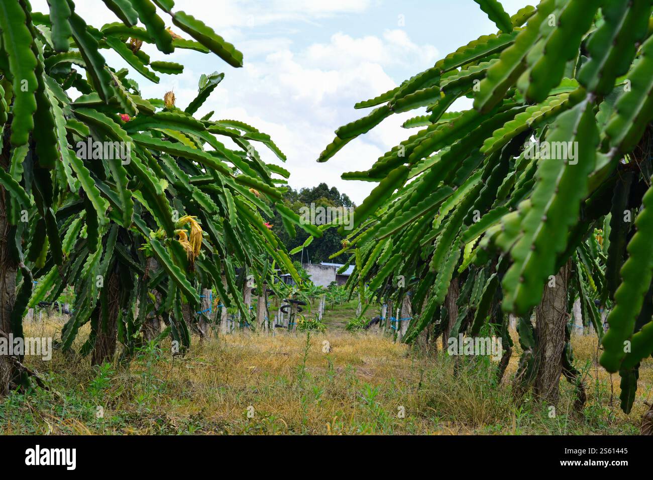 Paisaje rural espectacular hi-res stock photography and images - Alamy