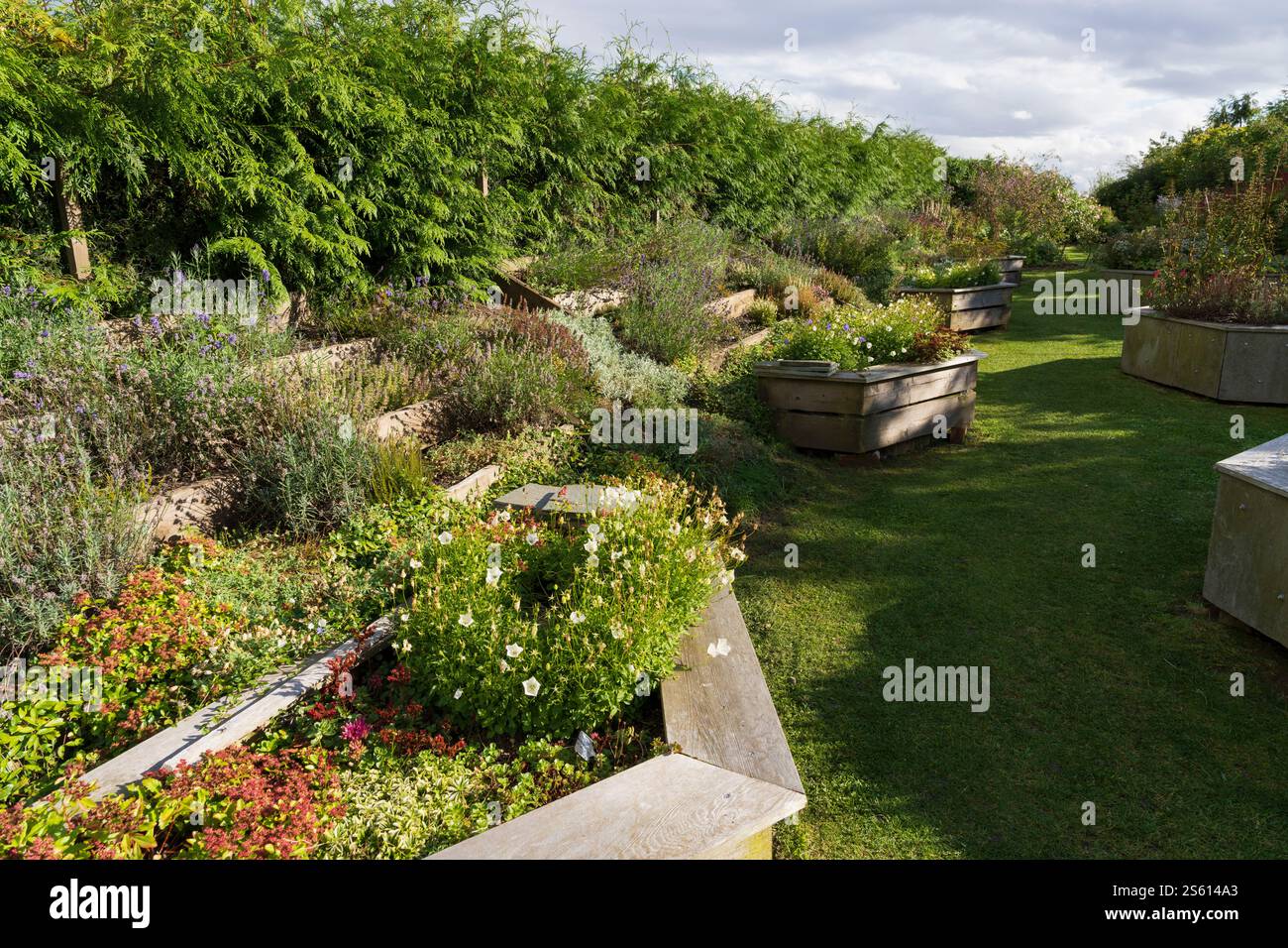 Union Chain Bridge, Horncliffe, Berwick-on-Tweed. Chain Bridge Honey ...