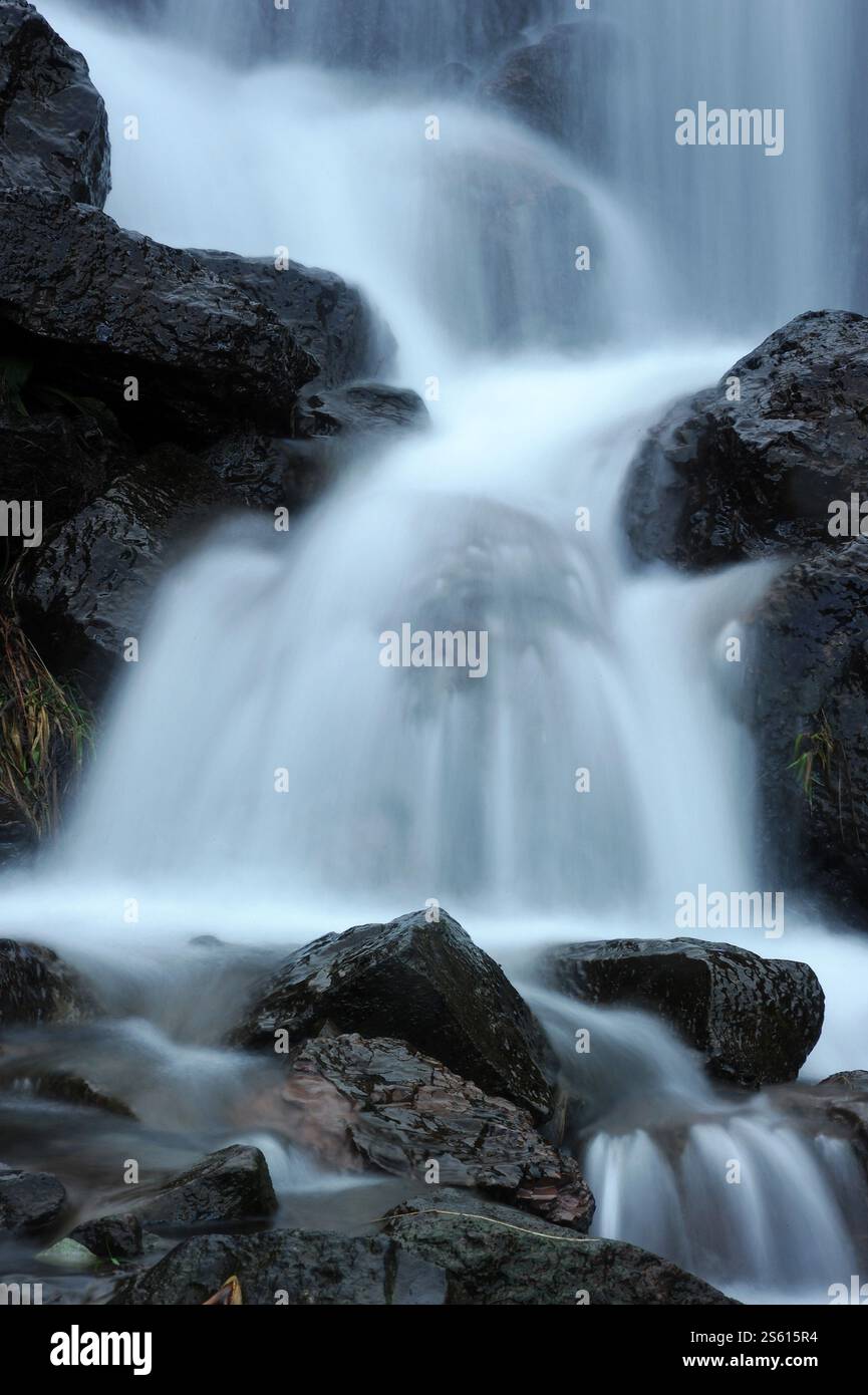 Tributary of the Afon Tarell at the side of the A470 between Storey ...