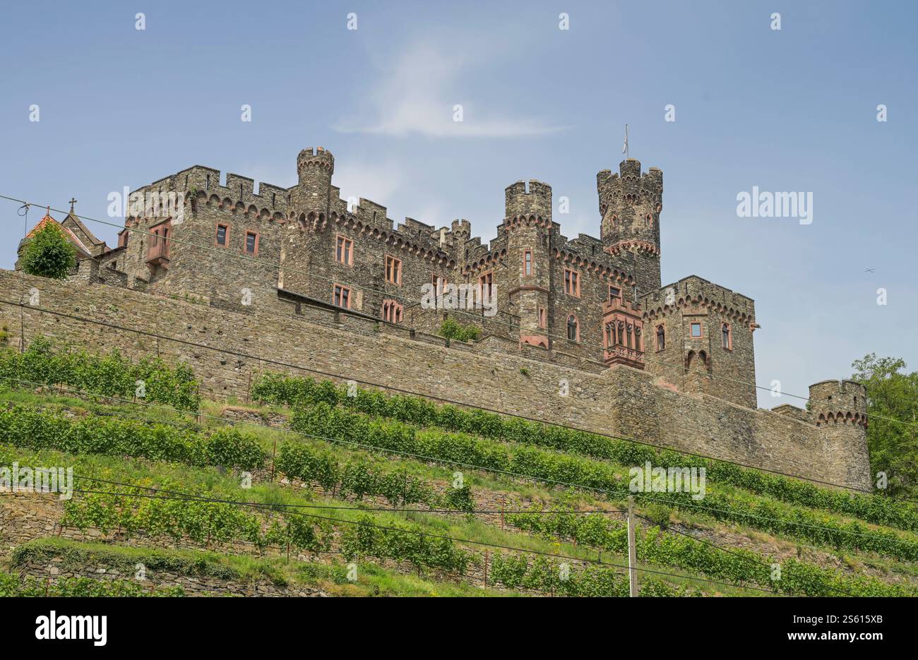 Burg Reichenstein, Rheinland-Pfalz, Deutschland *** Reichenstein Castle ...