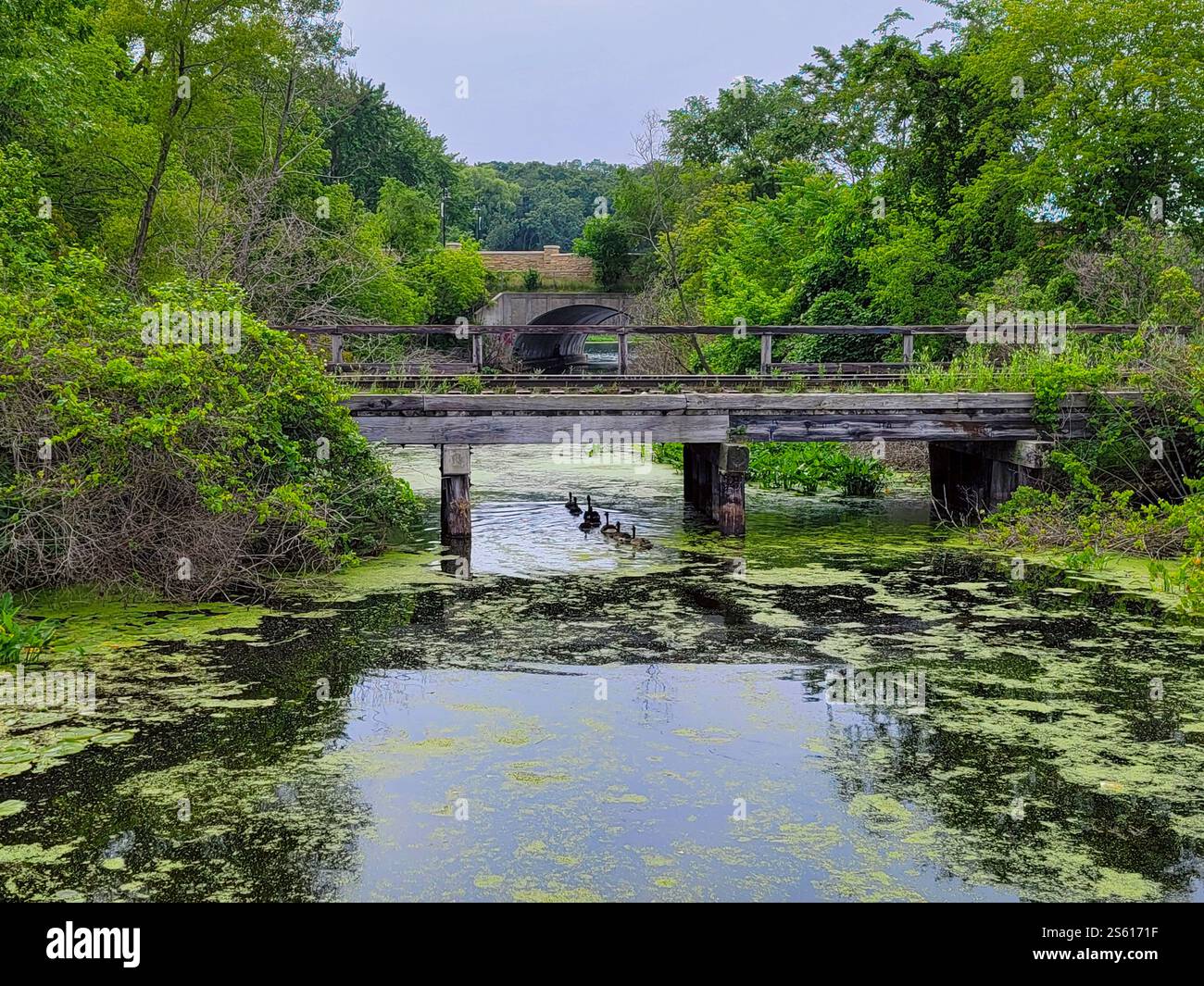 Muskegon bike trail hi-res stock photography and images - Alamy