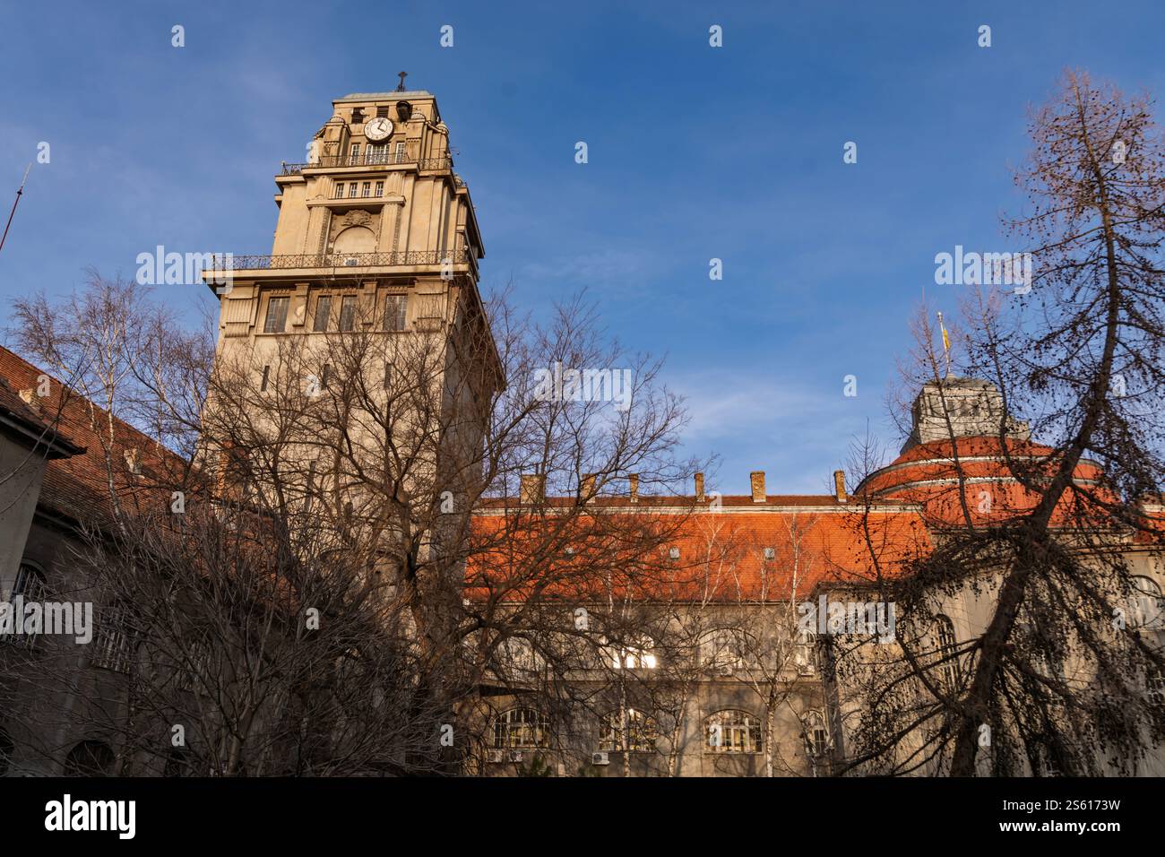 The Tower of the Town Hall of Senta Stock Photo - Alamy