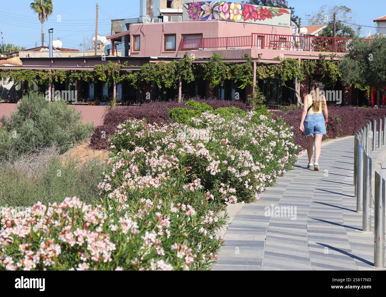 A yound woman ( model released ) Paphos, Cyprus. Oct 2024 Stock Photo ...
