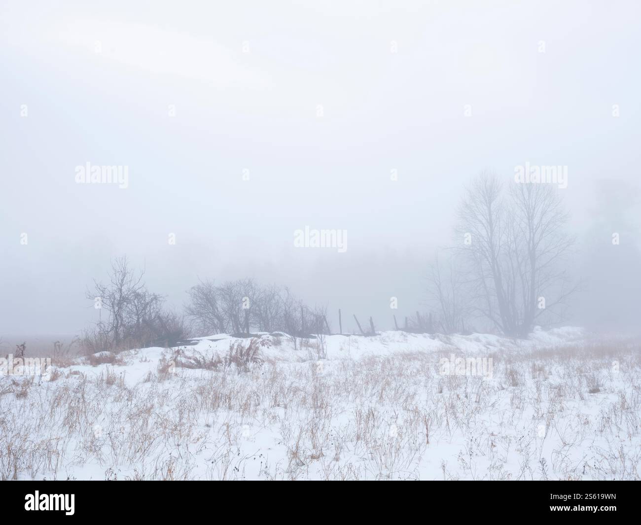 Winter fields during a full on snow storm Stock Photo - Alamy