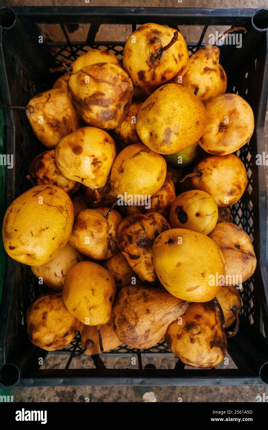 spoiled fruits from the seller at the market. defective frozen pears on ...
