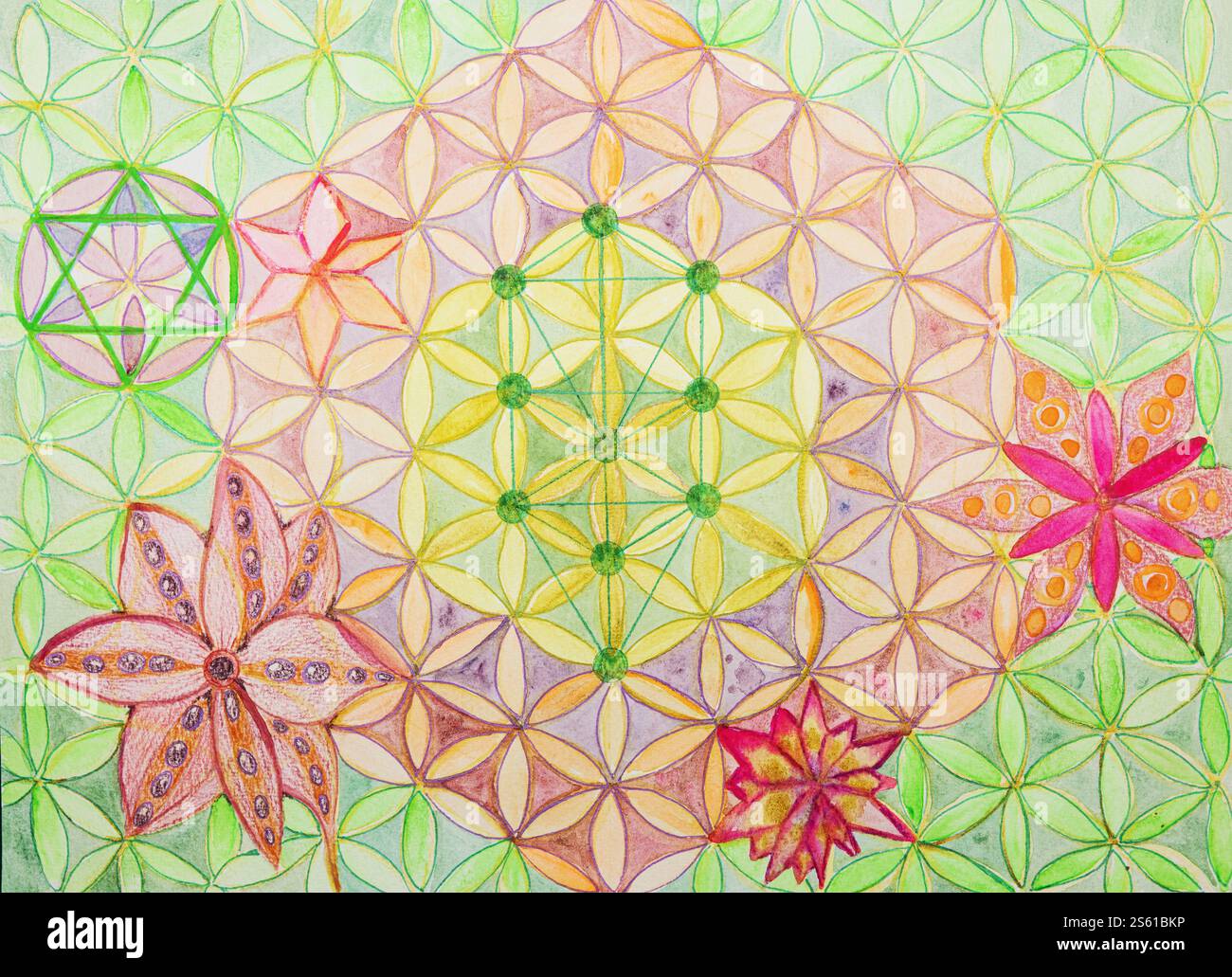 Tree of life in flowers of life, mandala. The dabbing technique near ...