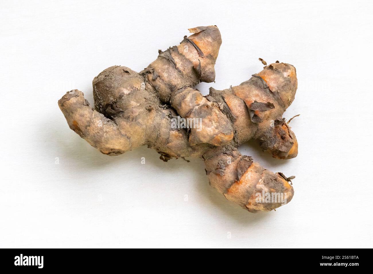 Fresh, raw turmeric root is displayed on a white background Stock Photo ...