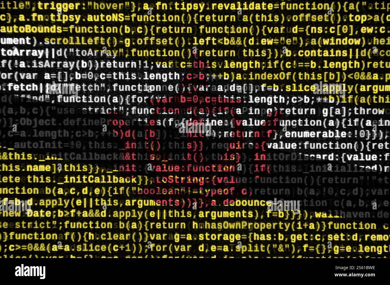 Brunei Darussalam flag is depicted on the screen with the program code ...