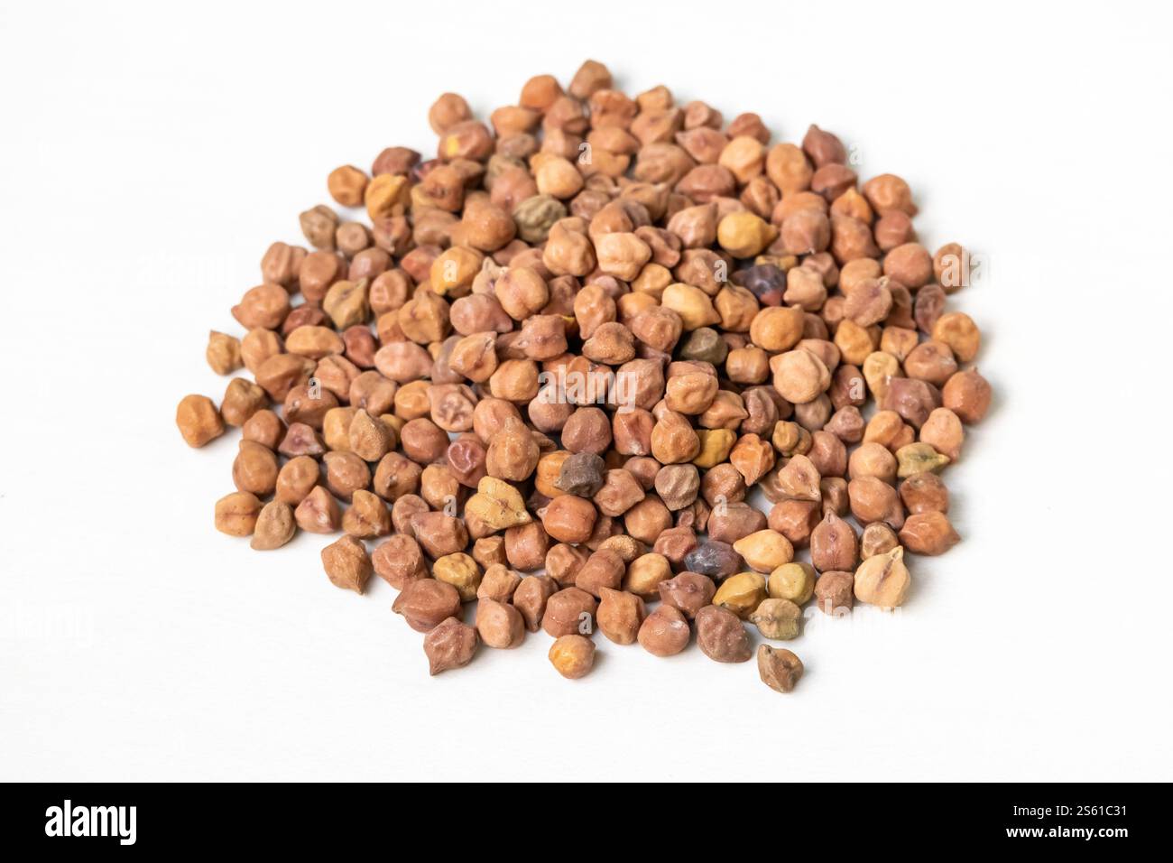 Pile of chickpeas (Cicer arietinum), also known as chola boot, gram ...