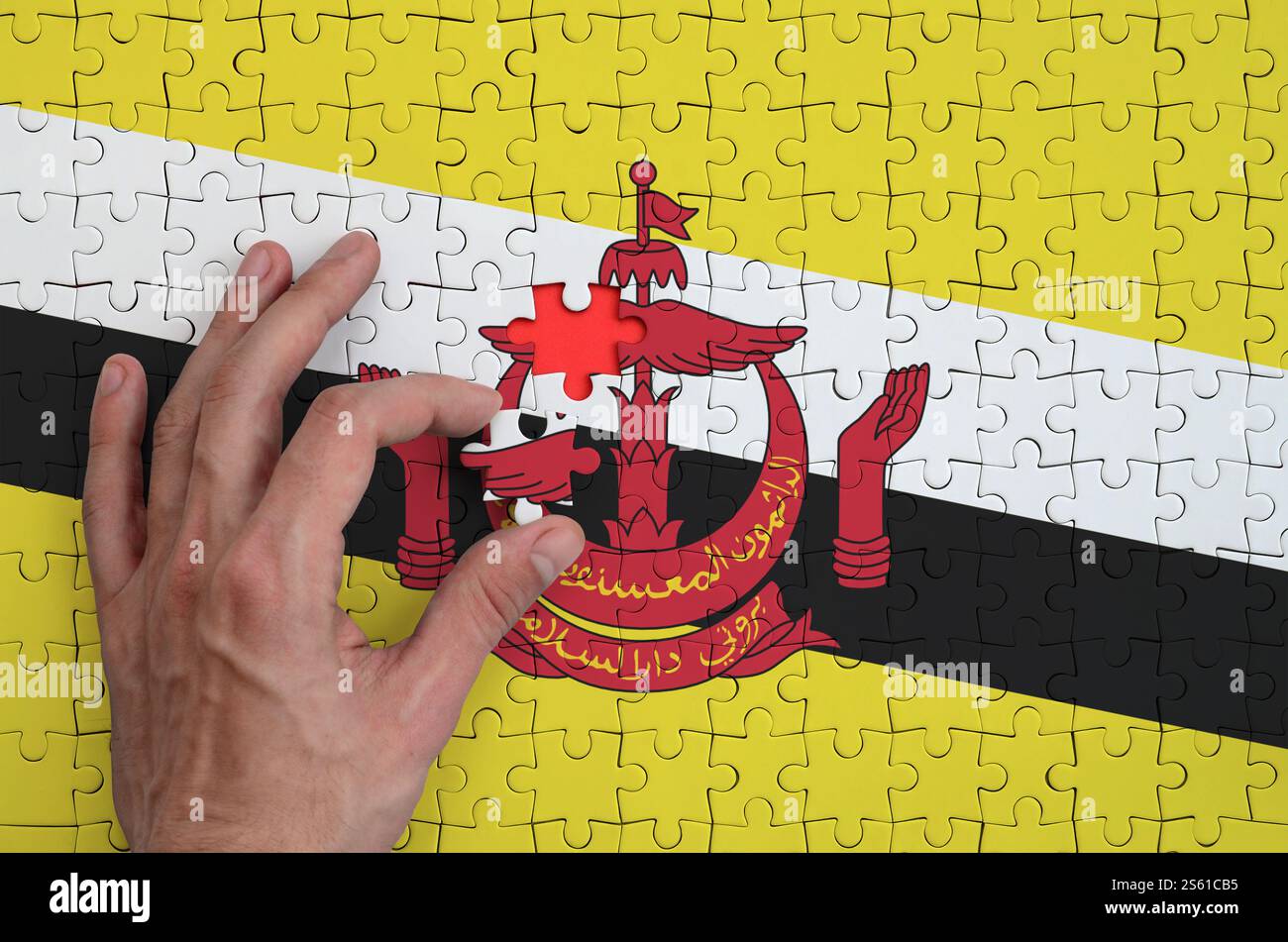 Brunei Darussalam flag is depicted on a puzzle, which the mans hand ...