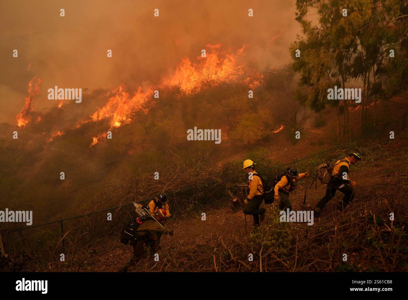 FILE - Fire Crews battle the Palisades Fire in Mandeville Canyon, Jan ...
