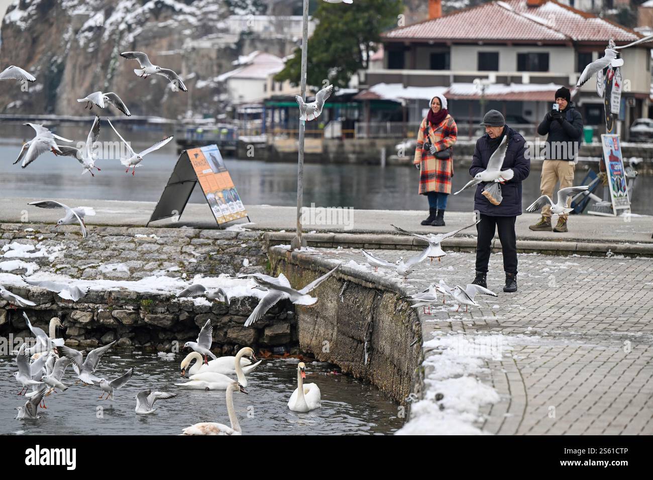 Ohrid, North Macedonia. 15th Jan, 2025. A man feeds birds at Lake Ohrid ...