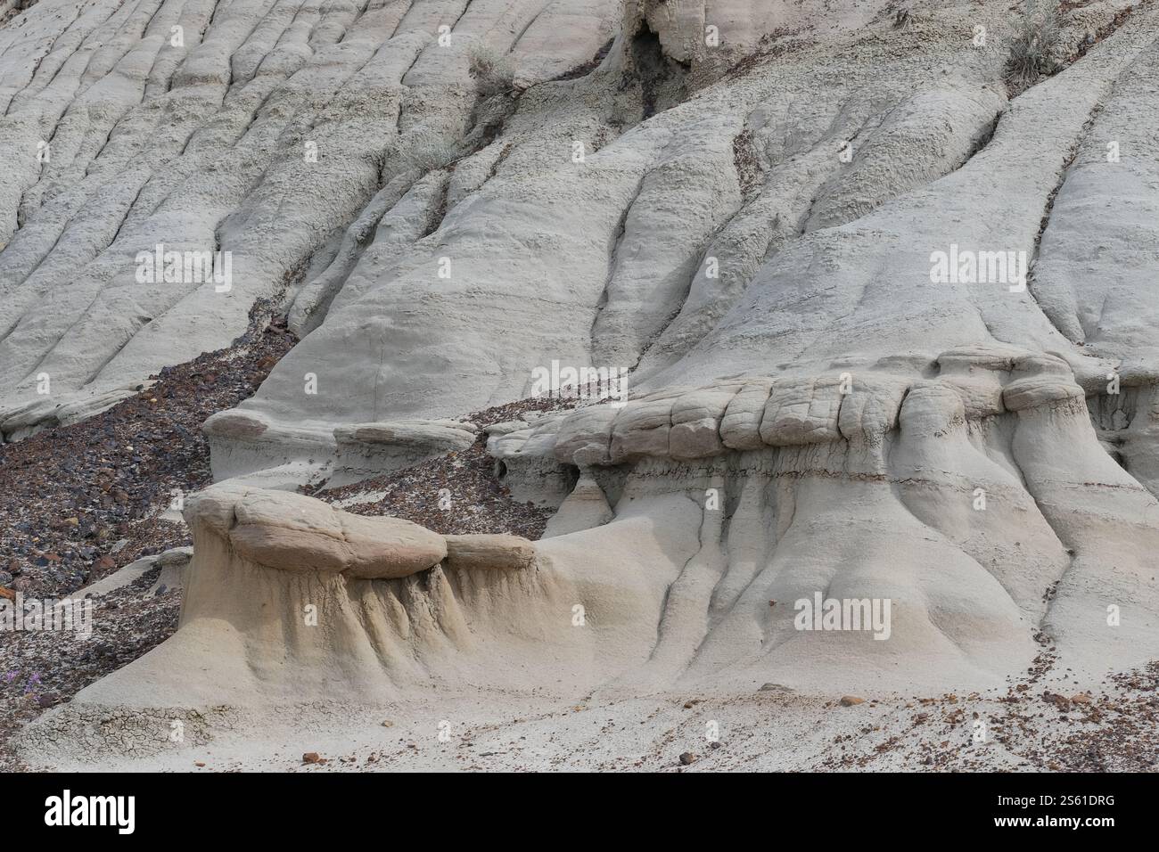 The badlands in Alberta, Canada near Drumheller Stock Photo - Alamy
