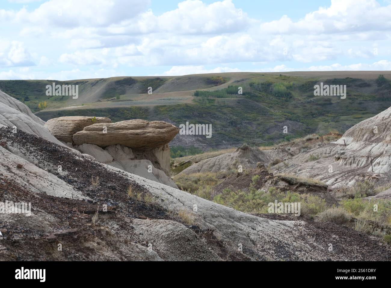 The badlands in Alberta, Canada near Drumheller Stock Photo - Alamy
