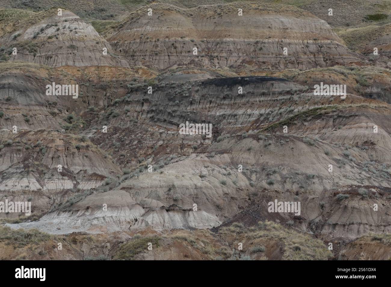 The badlands in Alberta, Canada near Drumheller Stock Photo - Alamy
