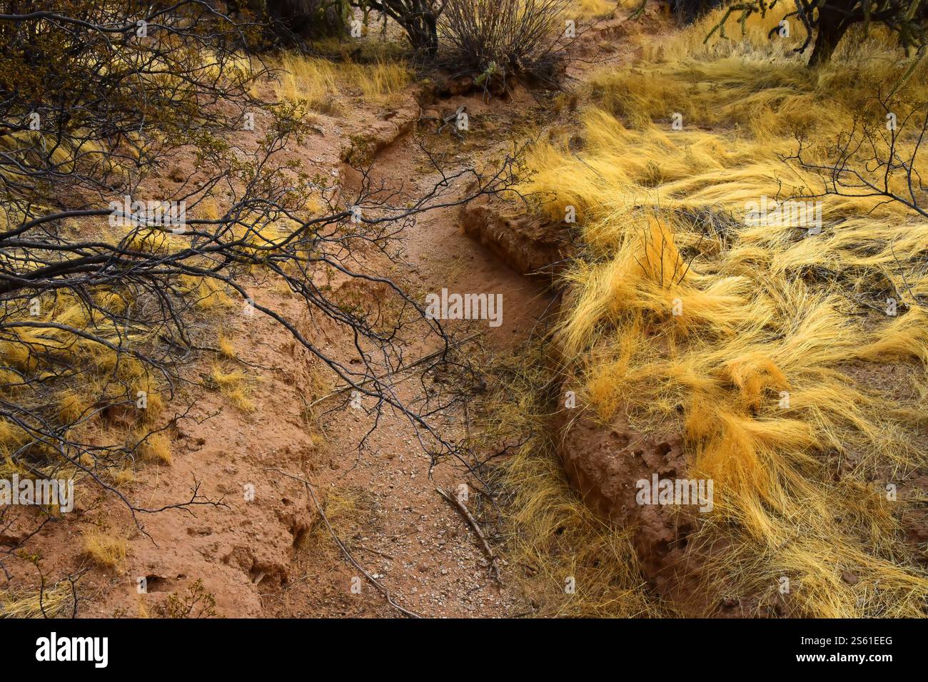 Ephemeral dry river hi-res stock photography and images - Alamy