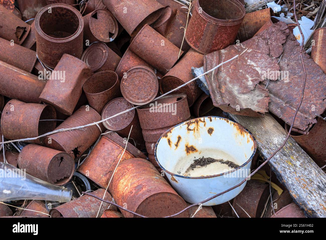 A pile of rusty cans and a white bowl. Scene is one of disarray and ...