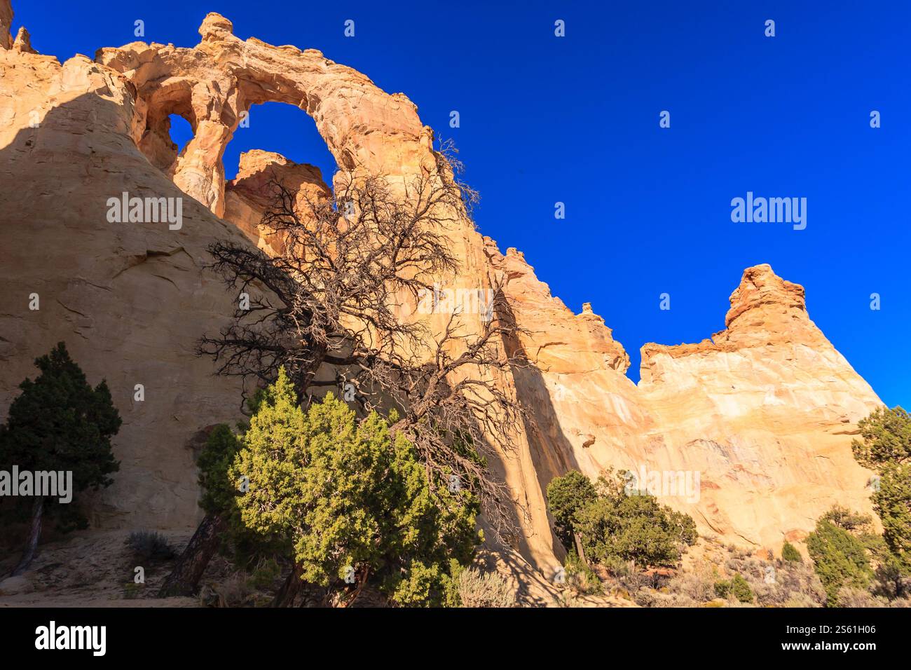 Grosvenor Arch is a unique sandstone double arch located in southern ...
