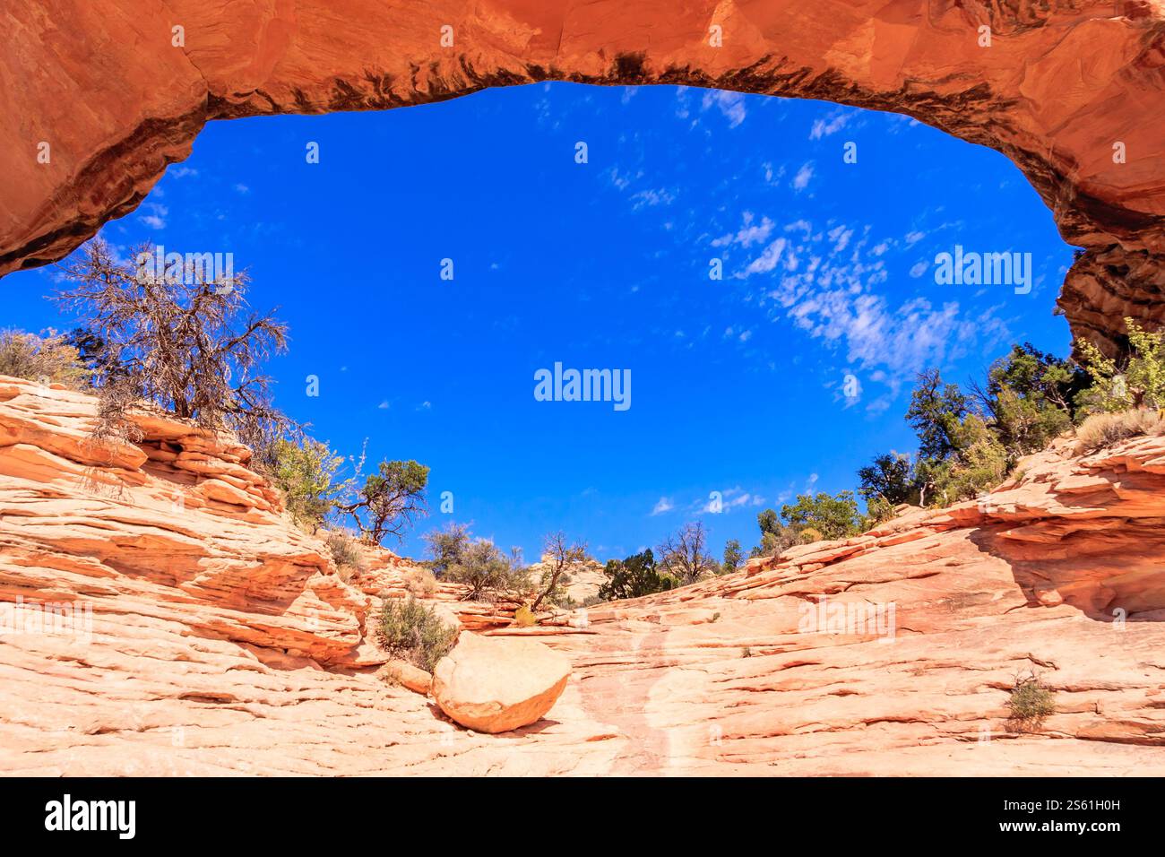 Natural Bridges National Monument is a U.S. National Monument located ...