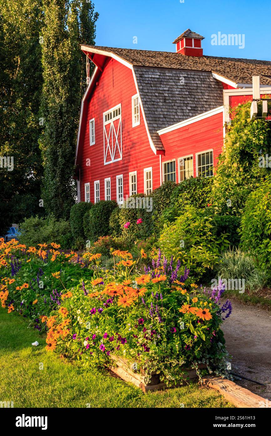 A red barn with a white roof and a red roof. The barn is surrounded by ...