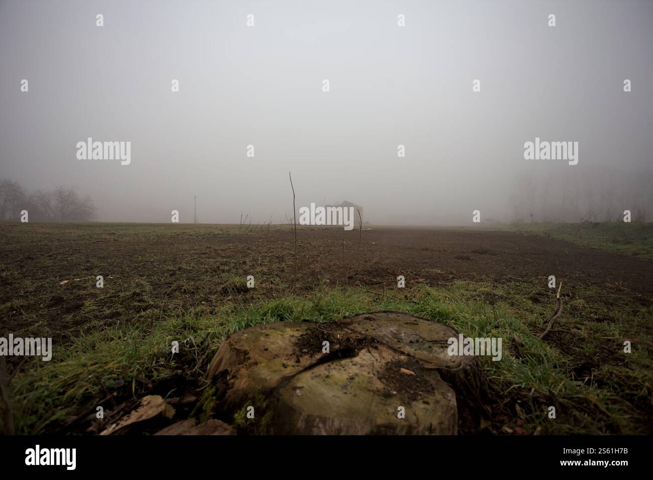 Run down country house in the middle of a field on a foggy day in the ...