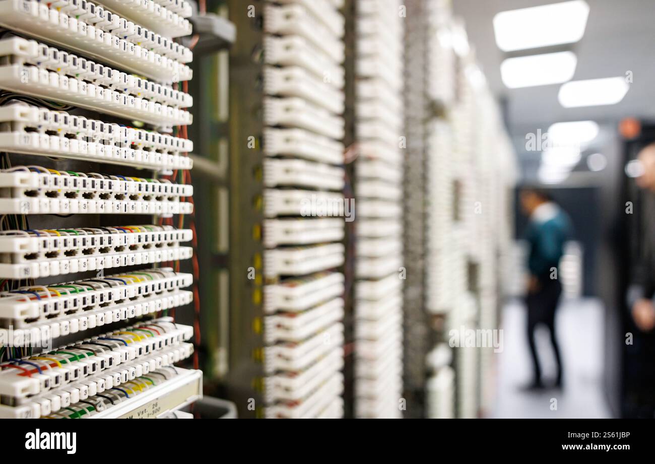 FILED - 19 November 2024, Bavaria, Nuremberg: Telephone lines (patch ...