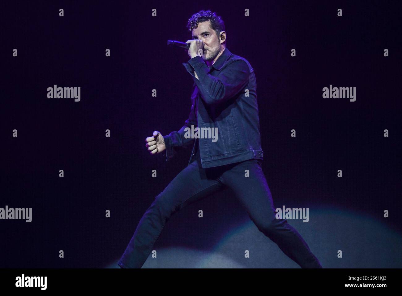 David Bisbal celebrates his carreer 20th Anniversary with a concert at ...
