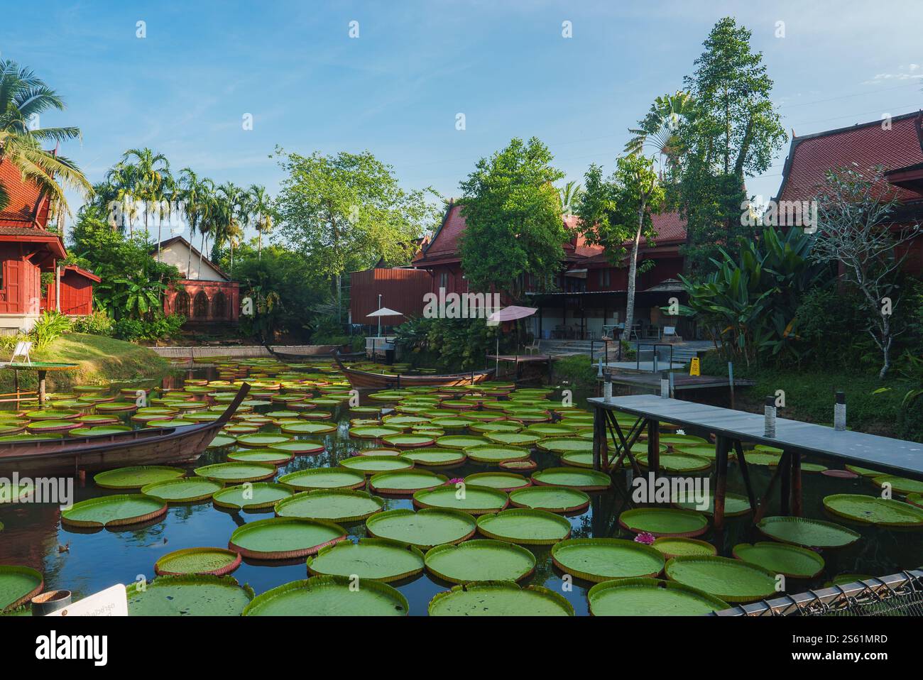 Lily Pad Pond with Thai Style Buildings and Wooden Bridge in Thailand ...