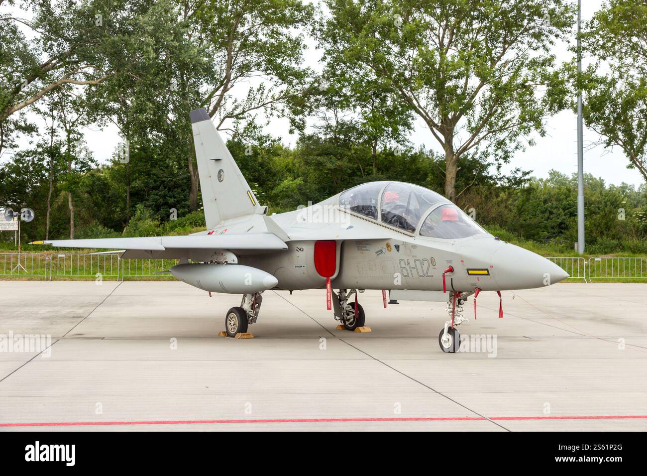 Alenia Aermacchi M-346 (T-346A) Master trainer jet from the Italian Air ...