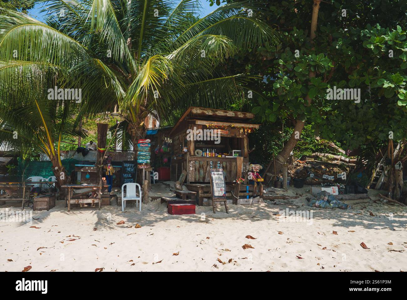 Rustic Beachside Shack Under Palm Trees in Phuket or Koh Phi Phi Stock ...