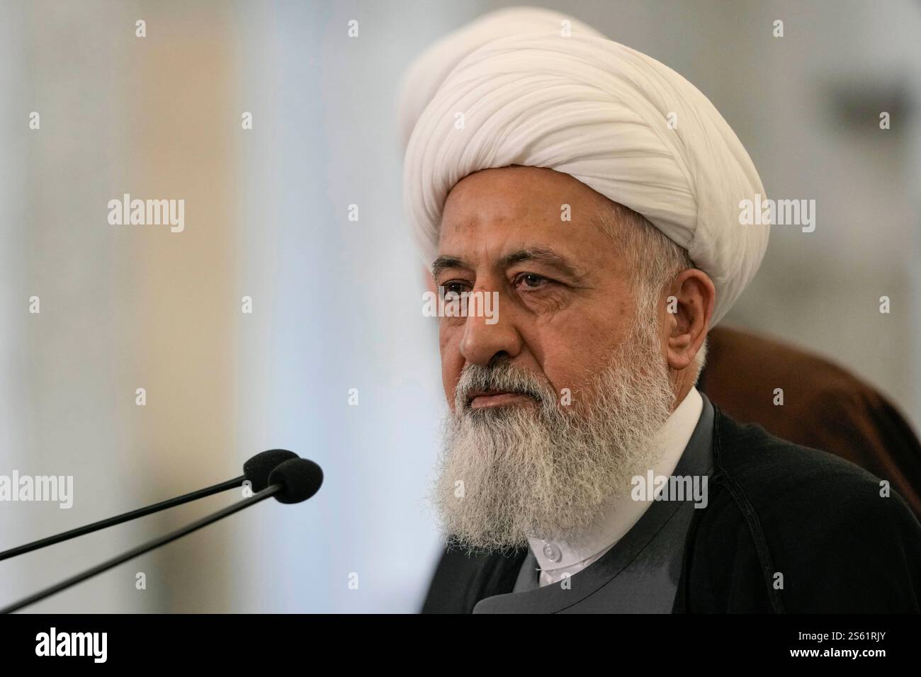 Vice-President of the Supreme Islamic Shiite Council, Sheikh Ali al ...