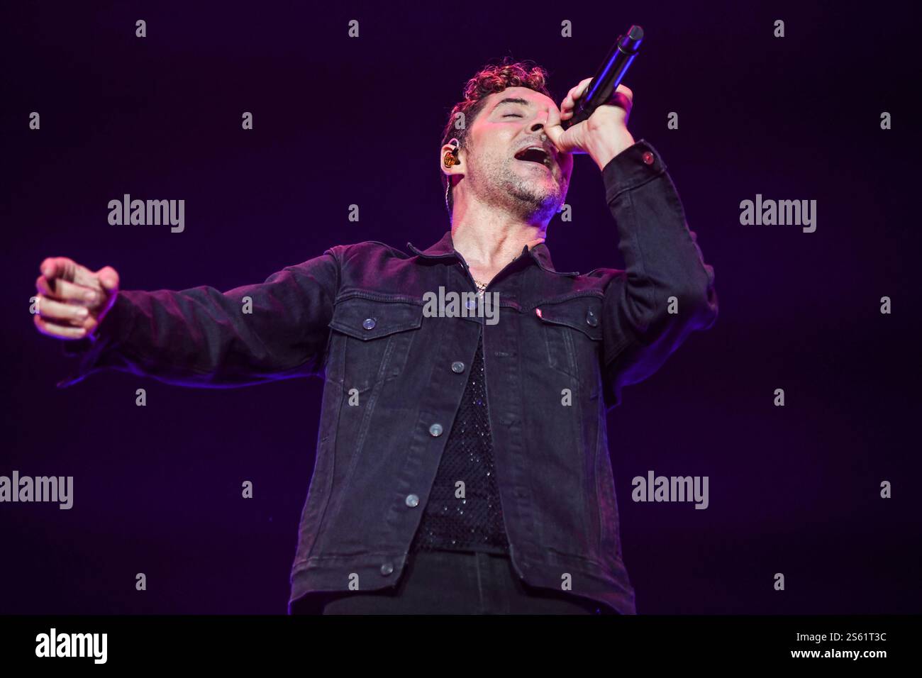 David Bisbal celebrates his carreer 20th Anniversary with a concert at ...