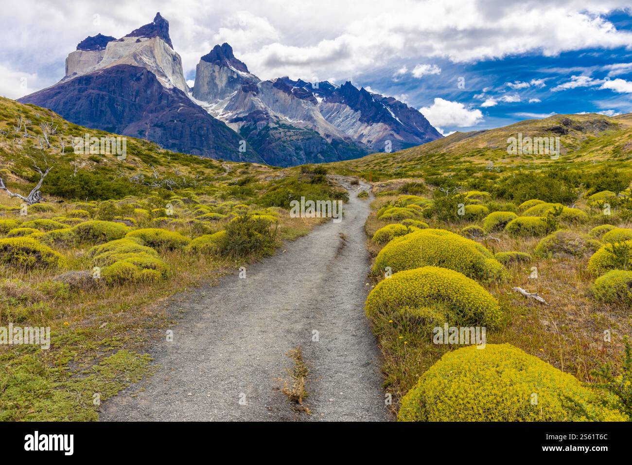 Torres del Paine national park in Patagonia, Chile. Beautiful landscape ...