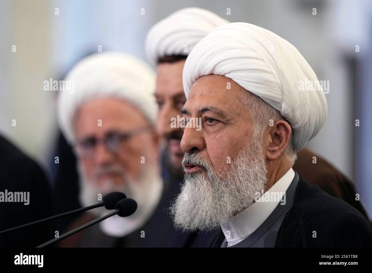 Vice-President of the Supreme Islamic Shiite Council, Sheikh Ali al ...