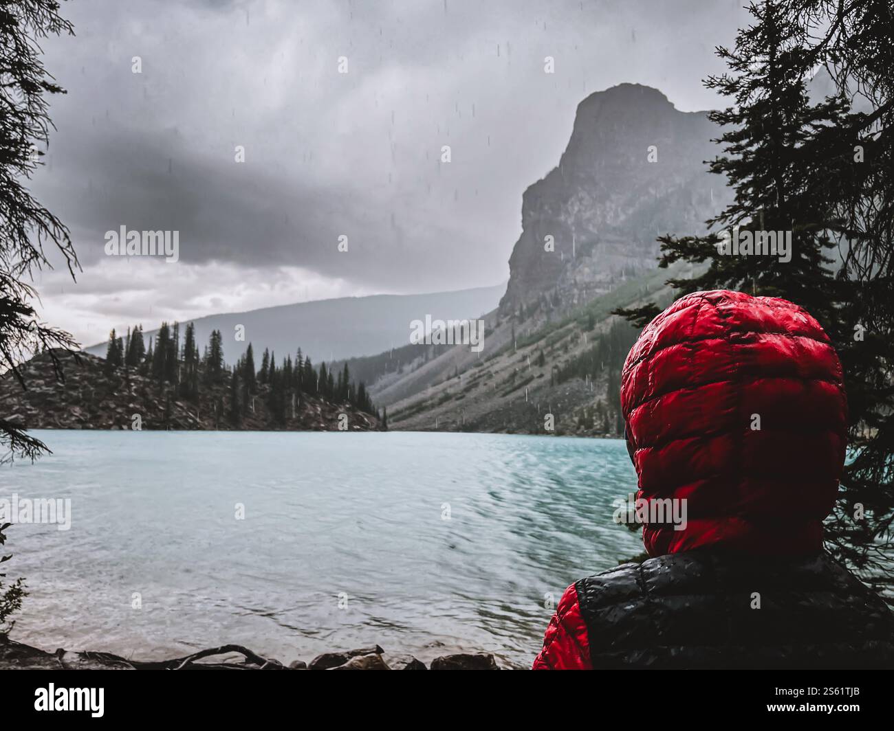 Boy on the shoreline gazing out into Lake Louise, Alberta, Canada in ...