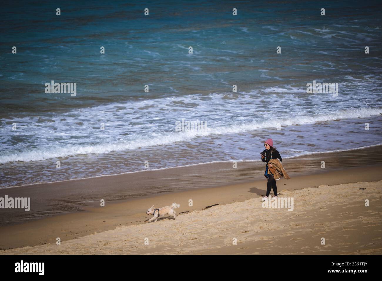 People walking with dogs on La Concha beach in winter in San Sebastian ...