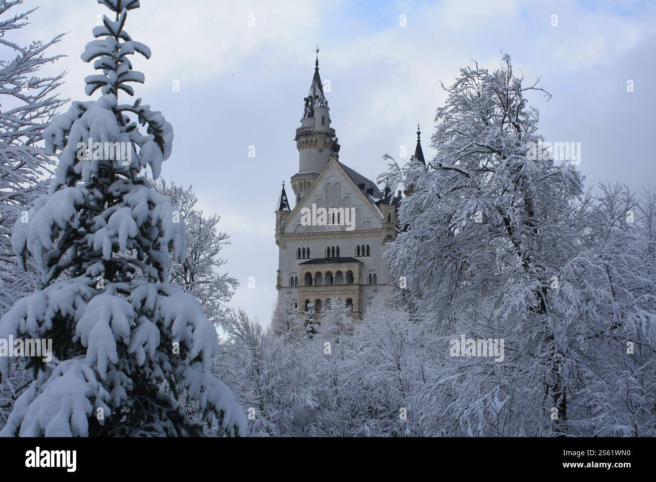 Neuschwanstein castle in germany during winter Stock Photo - Alamy