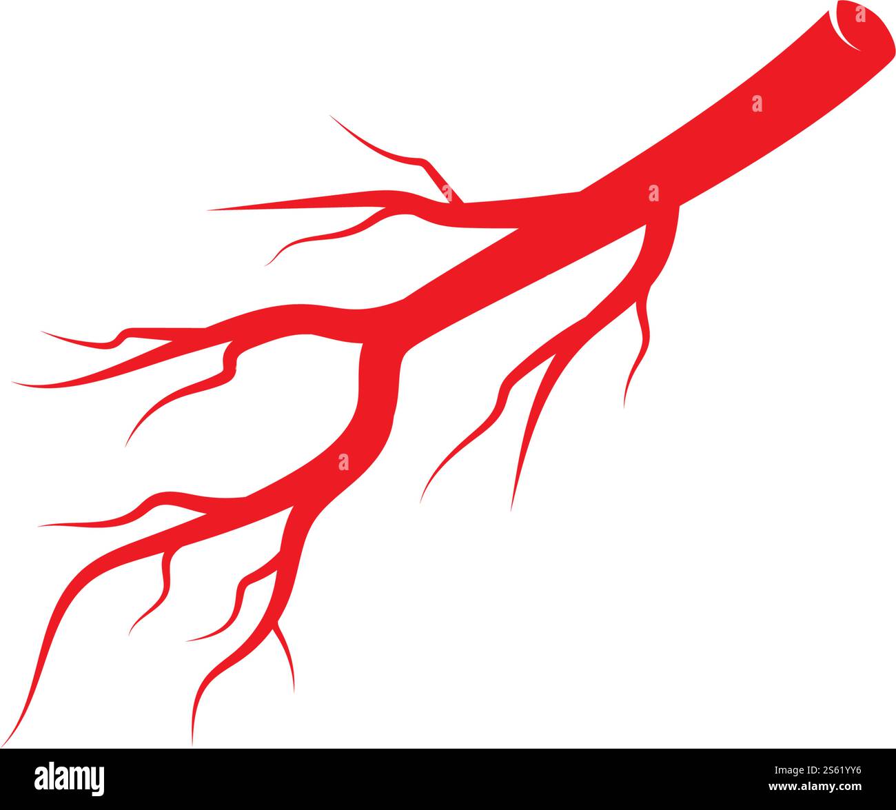 Arterial Illustration Vector Flat Design Stock Vector Image Art Alamy