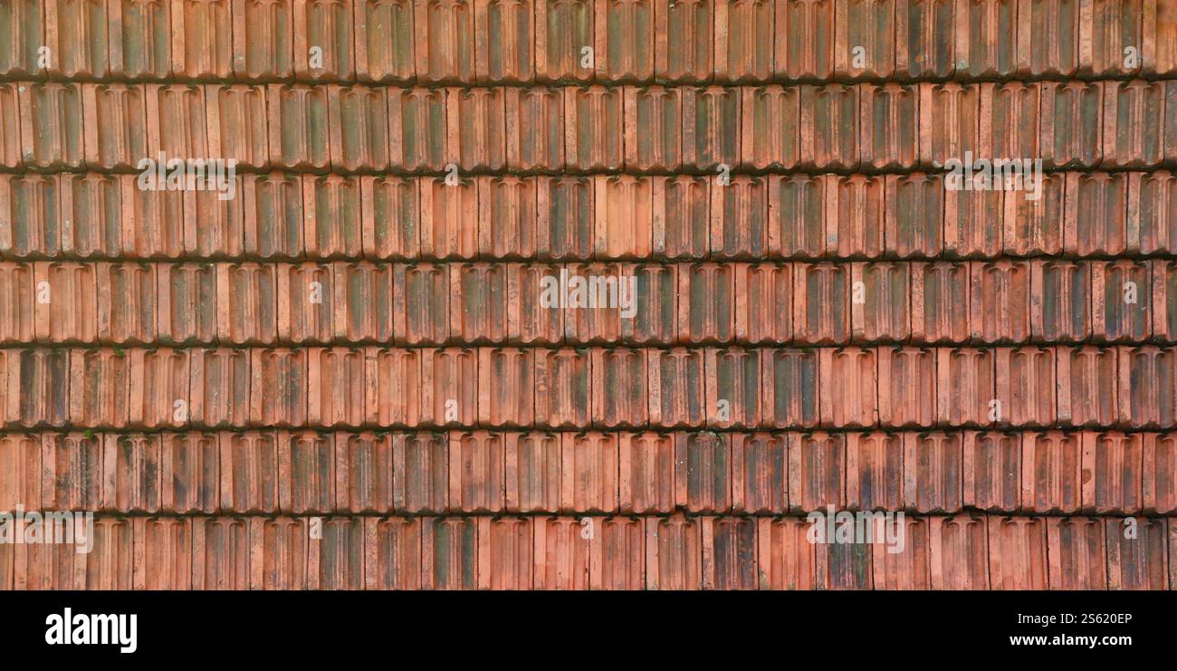 Close up of red terracotta roof shingles with some mildew. Background ...