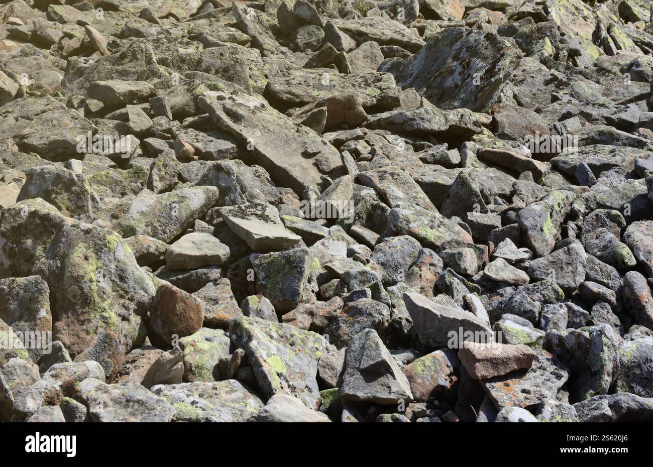 Textured rough rocks with lot of small details close up. Textured rough ...