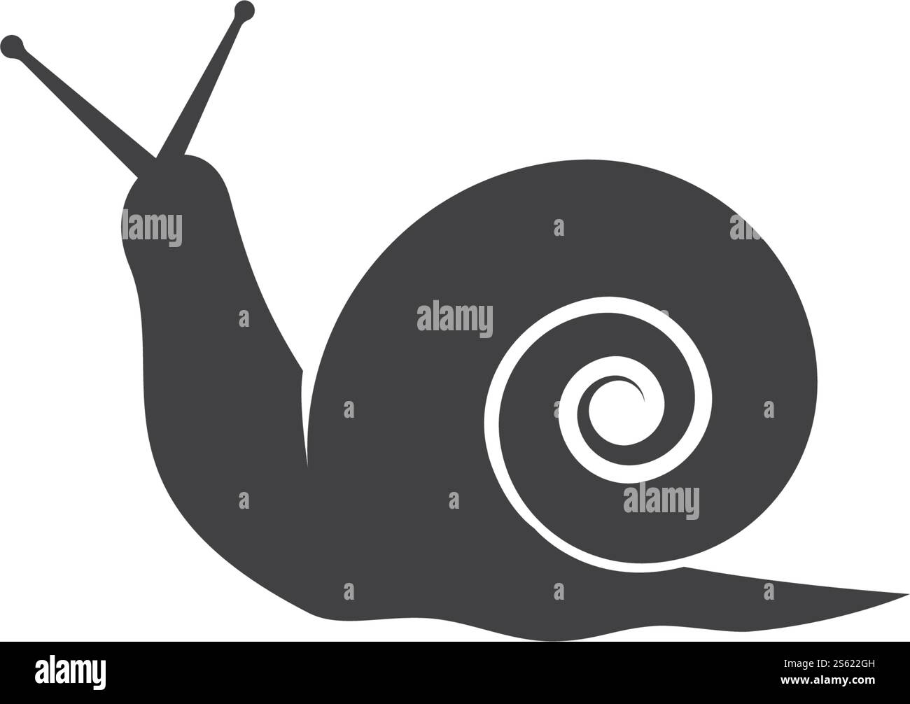 Snail logo illustration vector template Stock Vector Image & Art - Alamy
