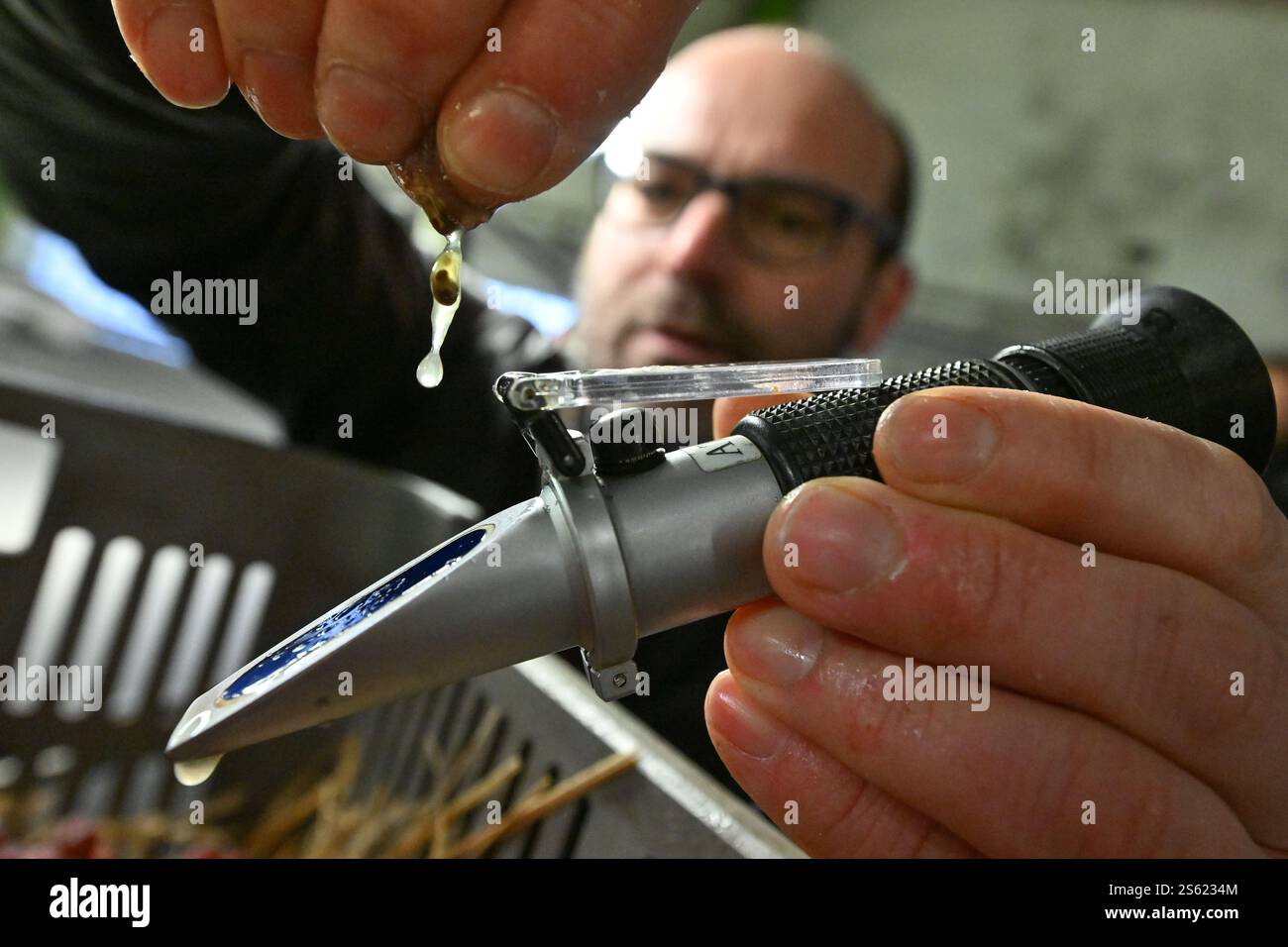 Employees of Chateau Valtice Winery start the process of straw wine ...