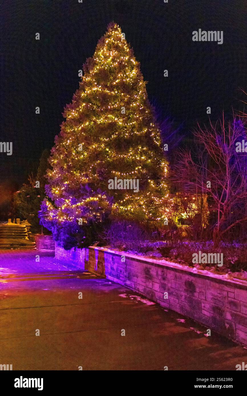 Christmas trees at Royal Botanical Gardens. Burlington Ontario Canada ...