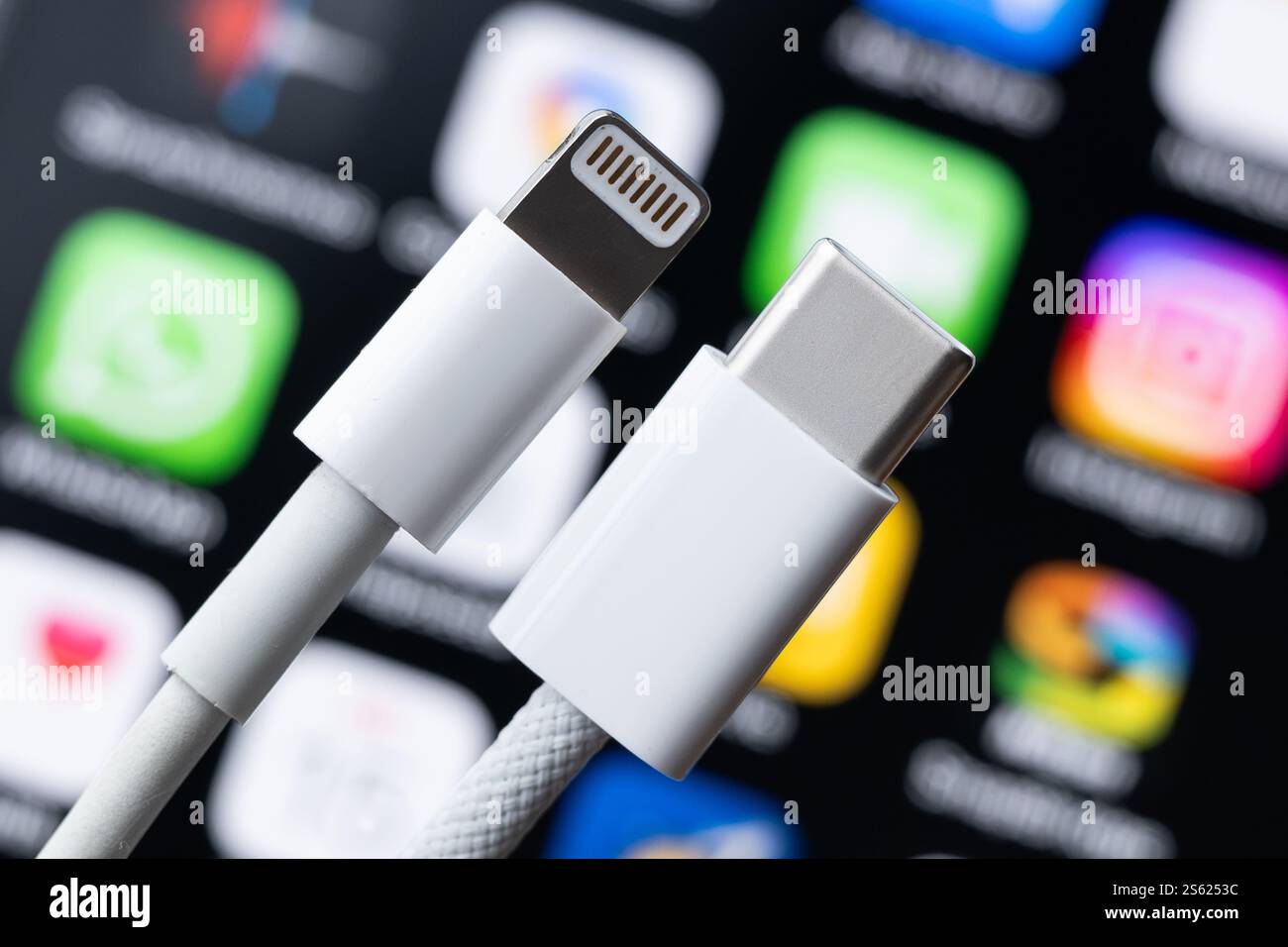 Rottweil, Germany. 15th Jan, 2025. A Lightning (l) and a USB-C charging ...