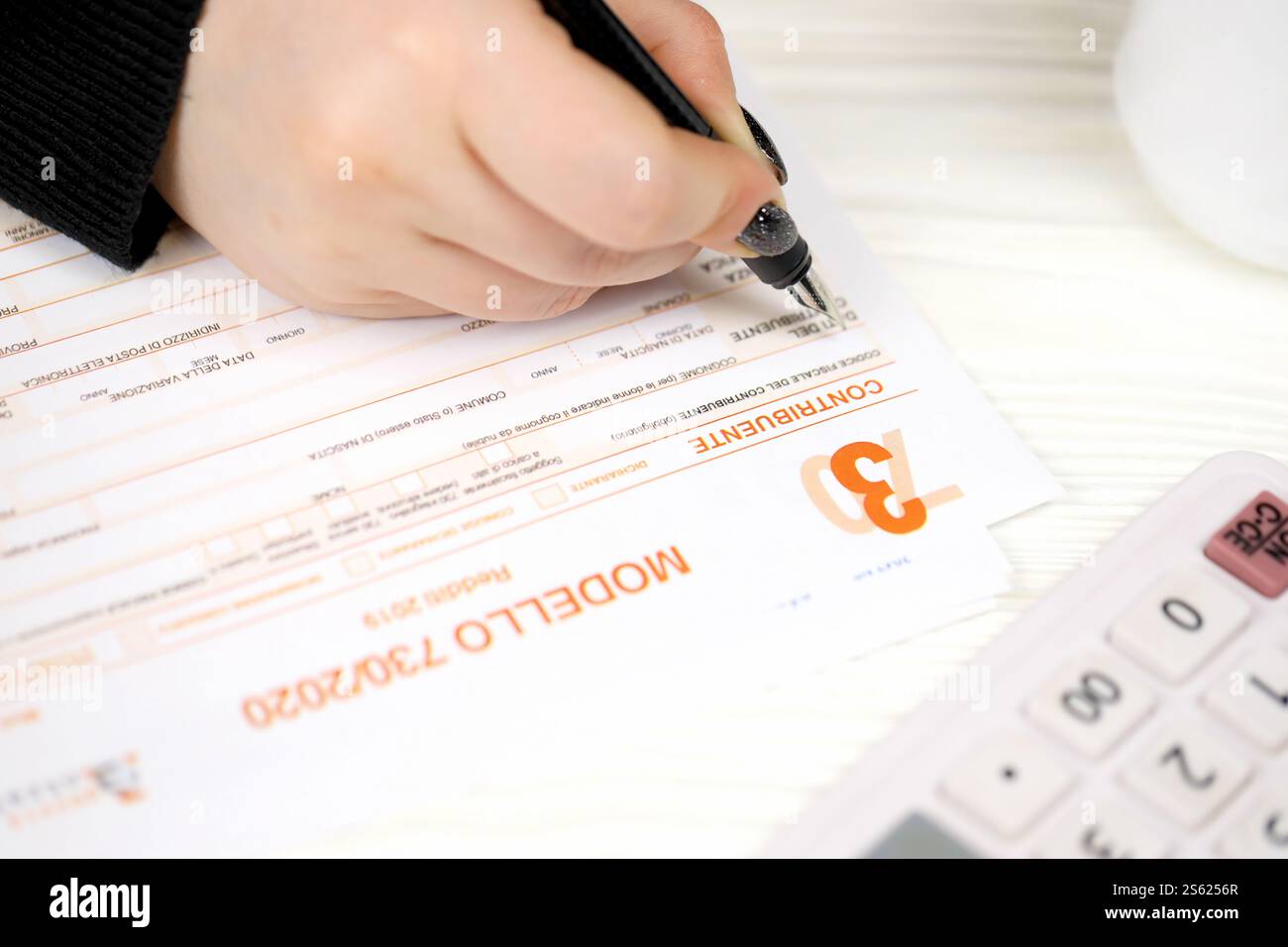 Accountant fill italian tax form Modello 730 individual income tax ...