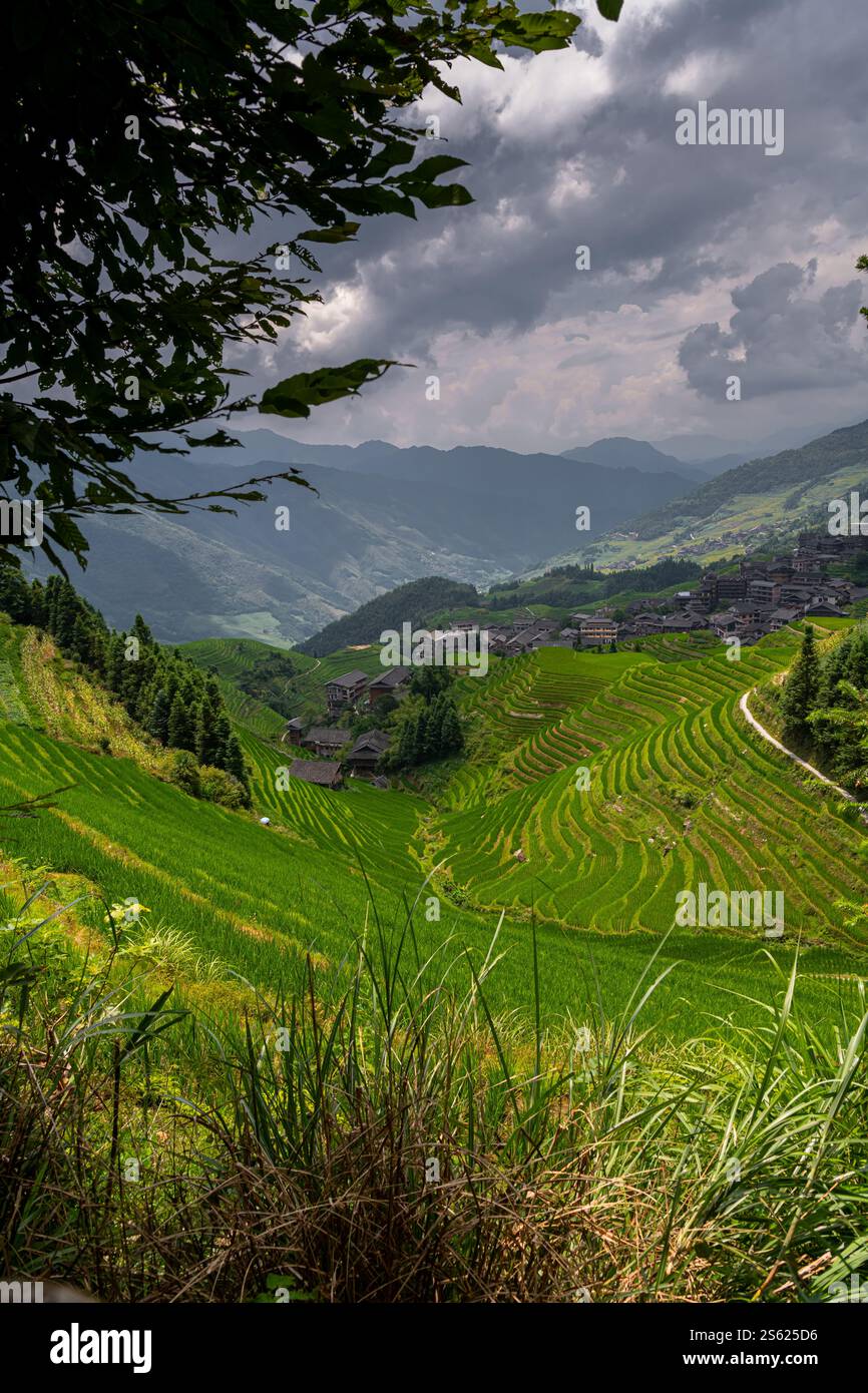 Beautiful formation of paddy terrace at Longsheng, Longji, Guilin ...