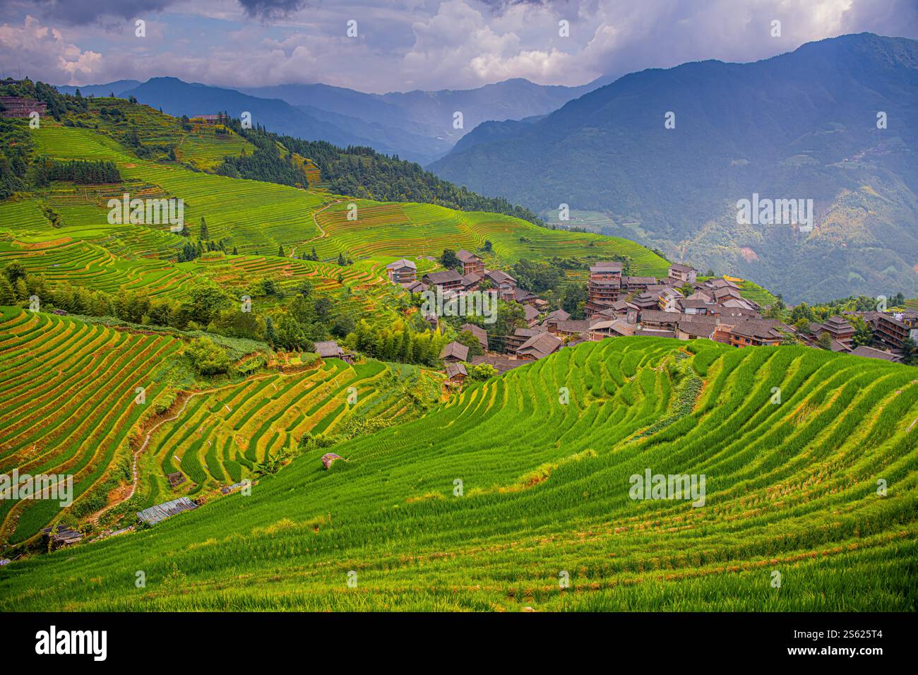 Sunrise view of terraced paddy field and houses of a village against ...