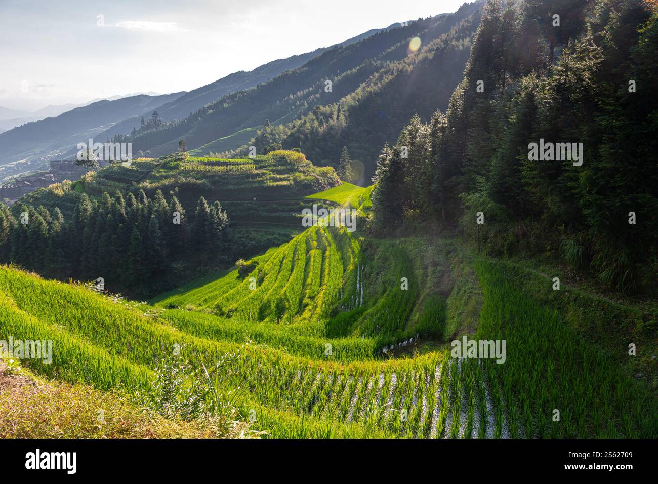 Longji (Dragon's Backbone) Terraced Rice Fields. Yangshuo, China ...