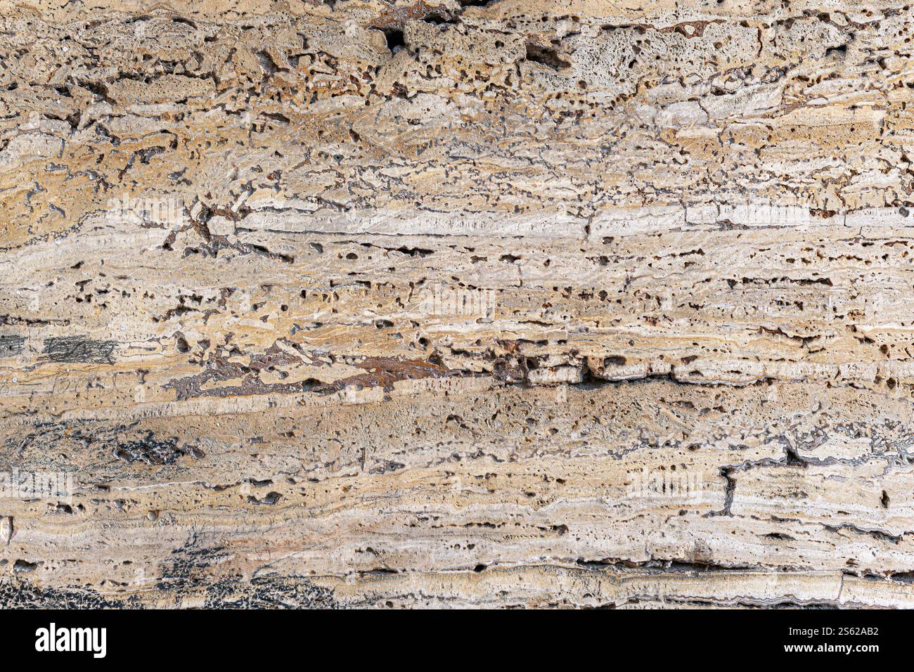 Shell stone texture as an background Stock Photo - Alamy