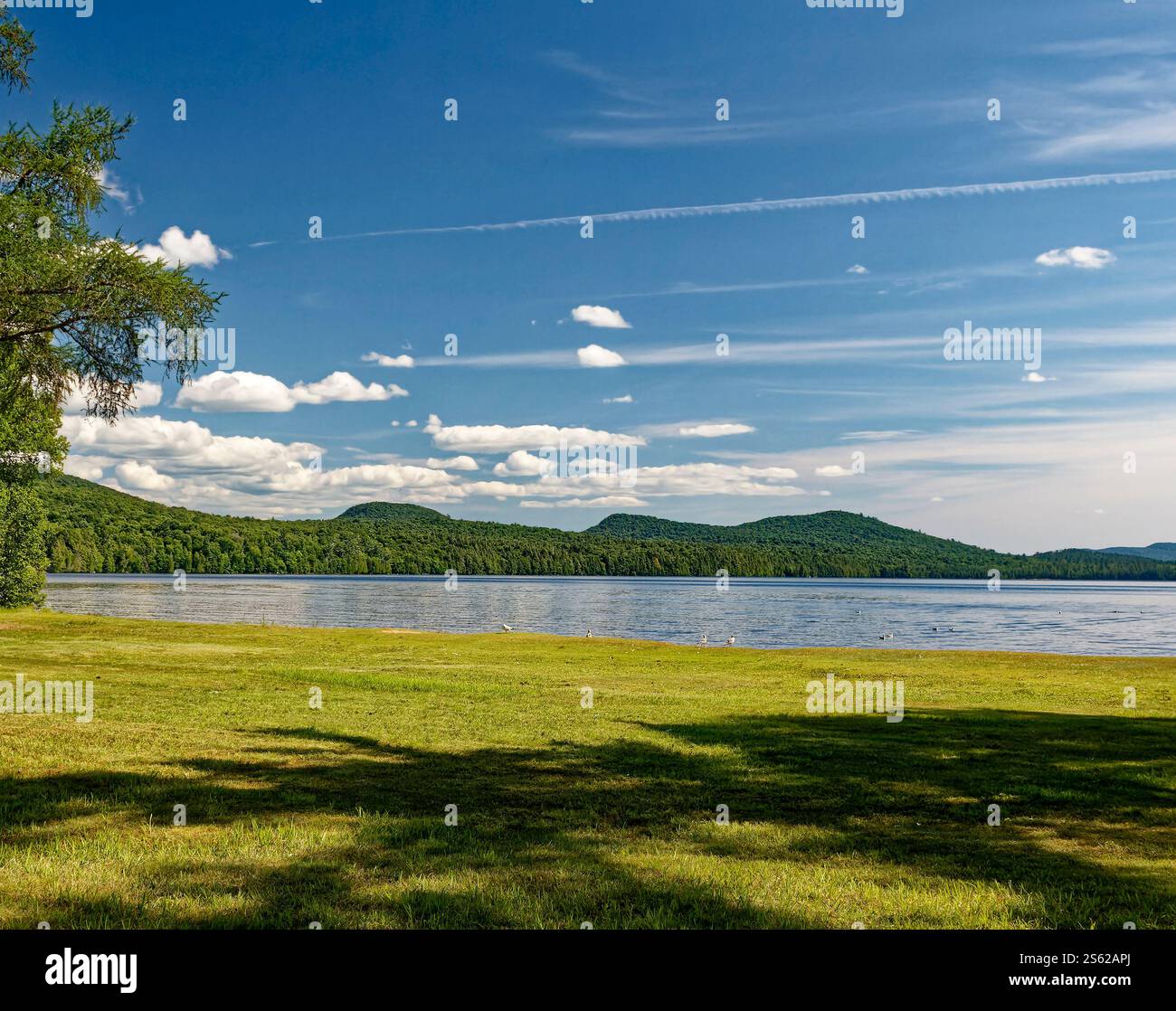 Meacham Lake scene, water, seagulls, birds, hills, nature, peaceful ...